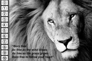 Born Free – Portrait Of Matt Monro